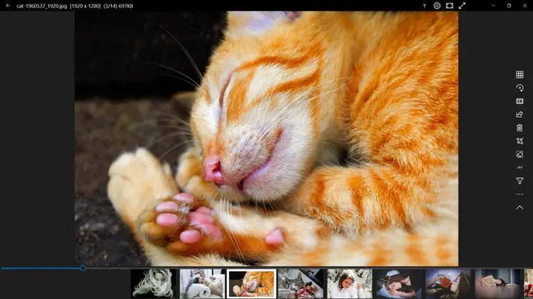 11 Best Photo Viewers for Windows