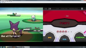 10 Best Nintendo DS Emulators for Windows & Mac
