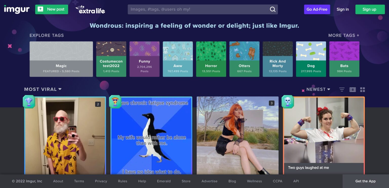 12 Best Reddit Alternatives