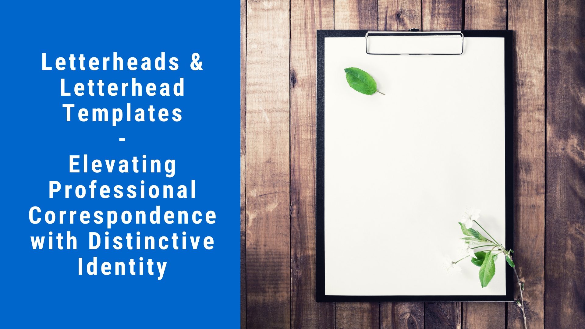 Letterheads & Letterhead Templates | Elevating Professional ...