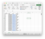 How to Convert Excel xlsx to Vcard vcf File