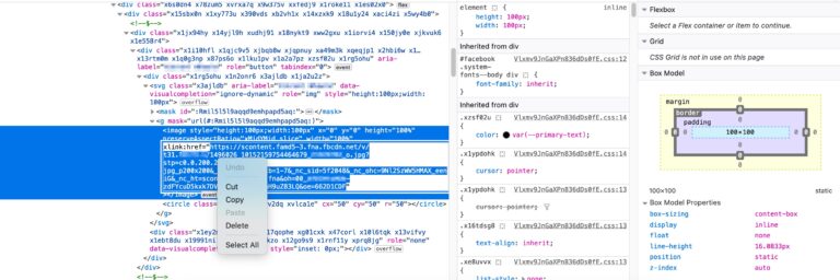 How to View Locked Facebook Profile Picture or DP